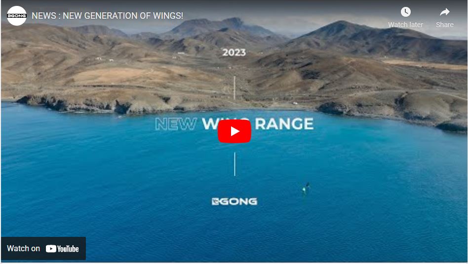 Gong: The New Generation of Wings